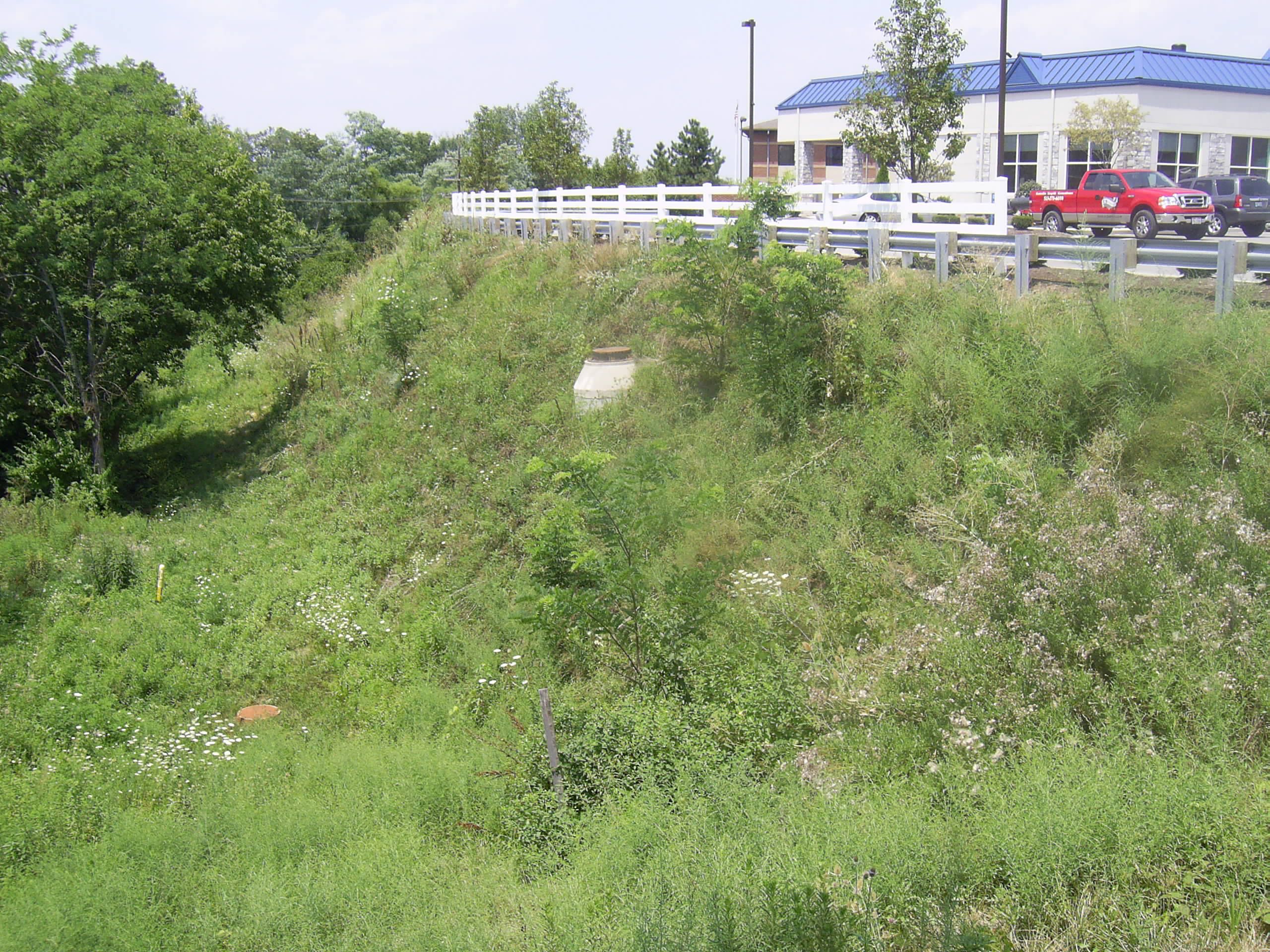 Bank of Kentucky Reinforced, Vegetated Slope - US Fabrics
