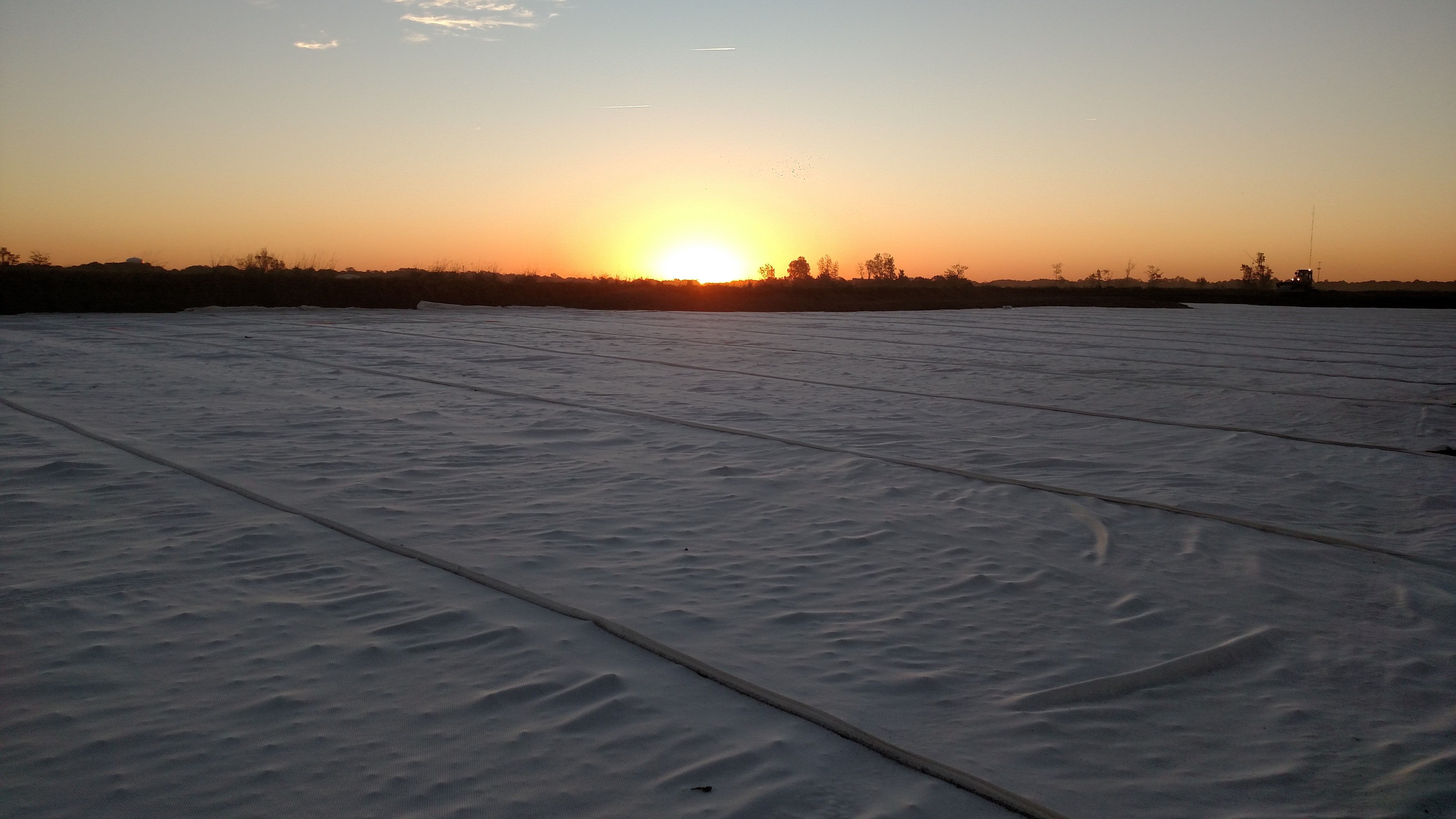 Synteen Woven High Strength Polyester Geotextiles - US Fabrics